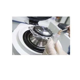 Precellys 24 Dual Tissue Homogenizer from Bertin Technologies - Labsave