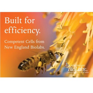 Competent Cells for cloning from New England Biolabs, Inc. - Labsave