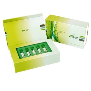 ISOkine™ Leukemia inhibitory factor, recombinant, mouse from ORF ...