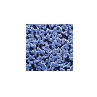 Silver Membrane Filters from Sterlitech Corporation - Labsave