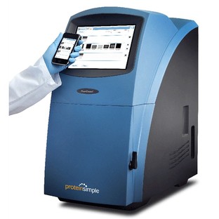 FluorChem E from ProteinSimple | Biosave