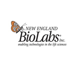 T7 High Yield RNA Synthesis Kit from New England Biolabs, Inc. - Labsave