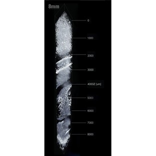 XLSLPLN25XSVMP SCALEVIEW 25x objective lens from Olympus Europa Holding ...