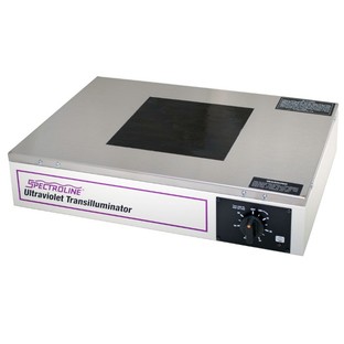 Spectroline Transilluminator from UVMAN | Biosave