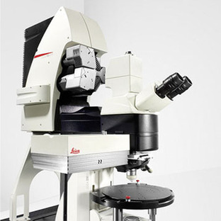 Leica TCS SP8 MP from Leica Microsystems, Inc. - Labsave