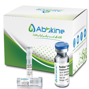 PurKine™ GST-Tag Protein Purification Kit (Glutathione) from Abbkine ...